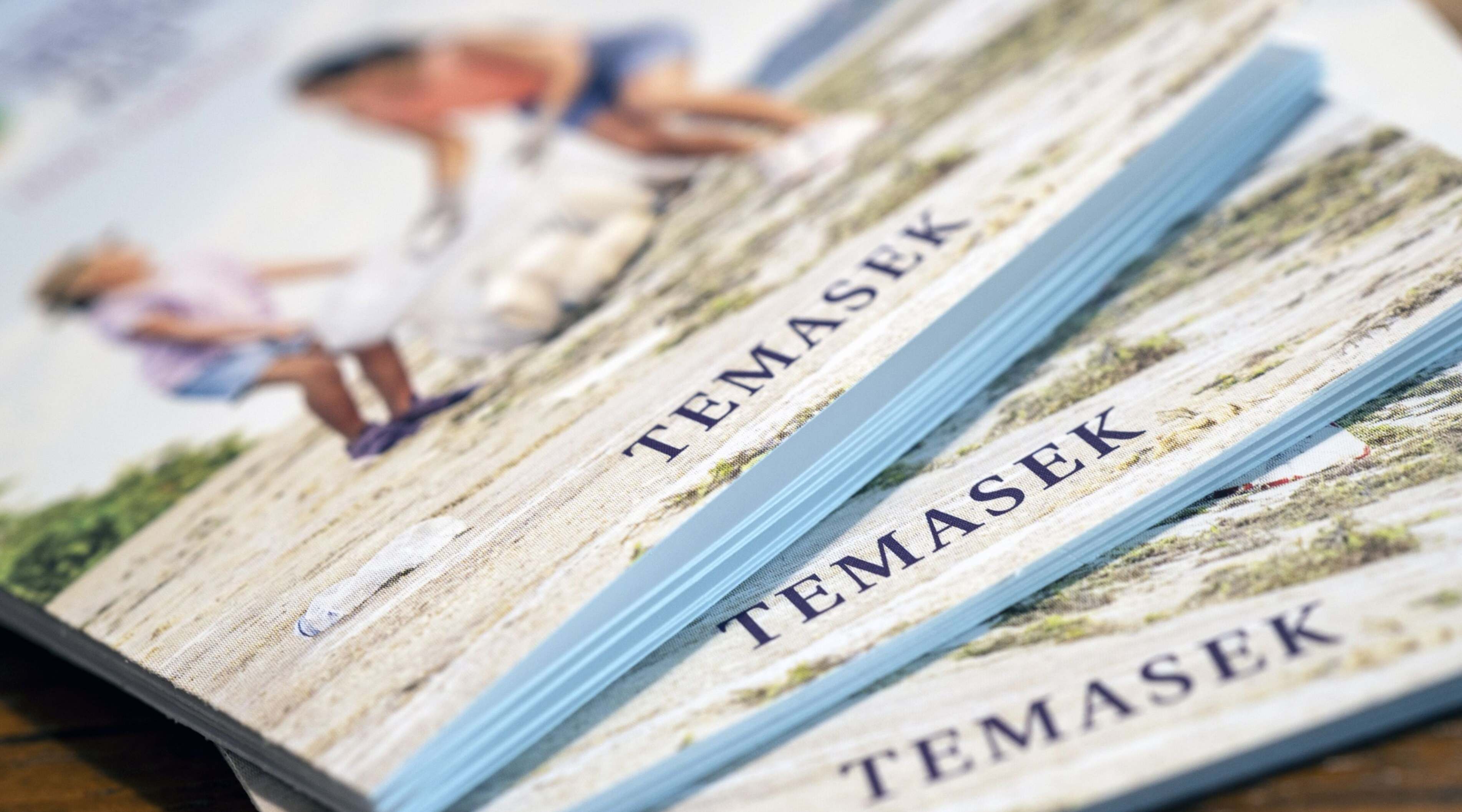 Temasek to divest Pavilion Energy to Shell subsidiary