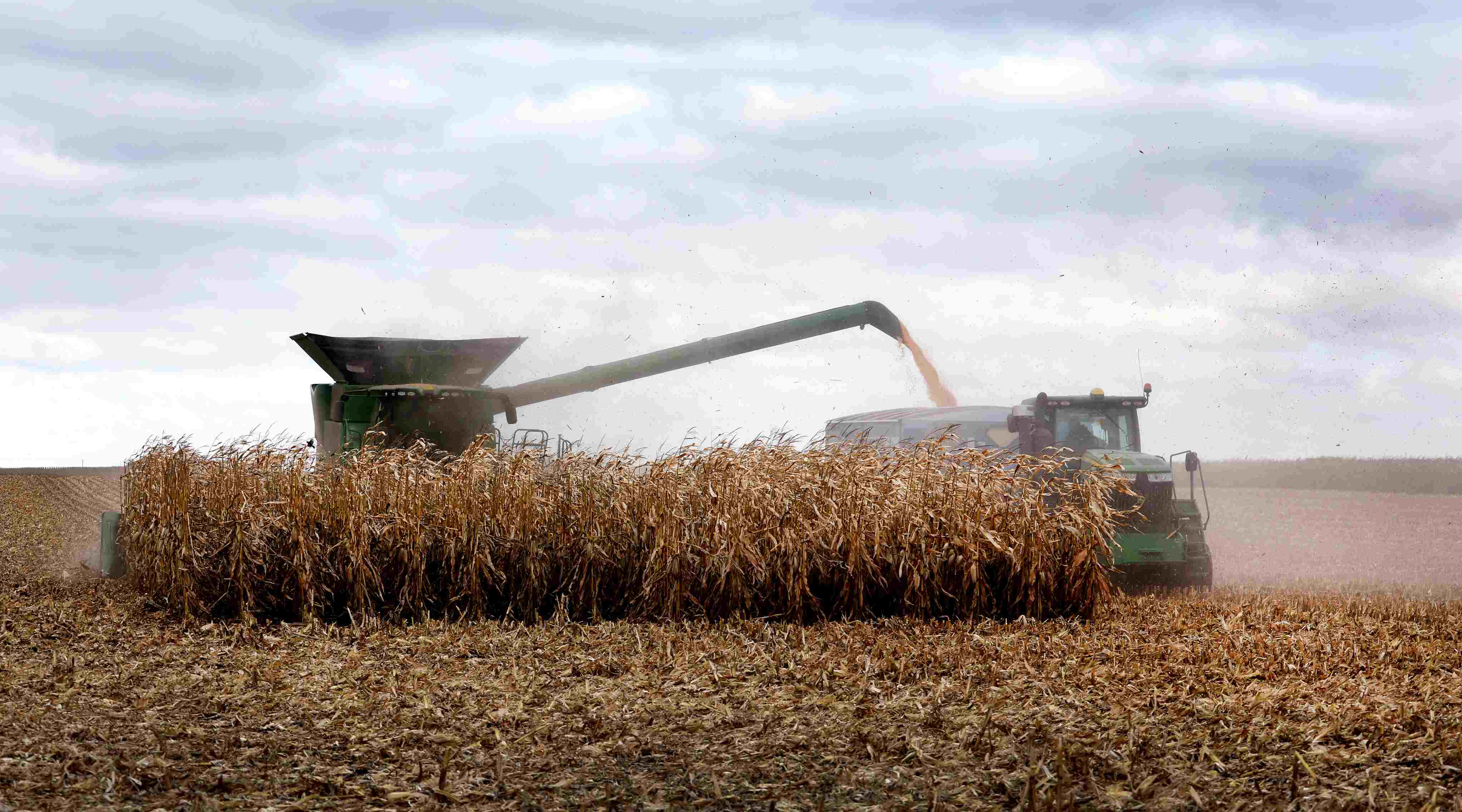 Hedge funds hold most number of shorts in corn on record