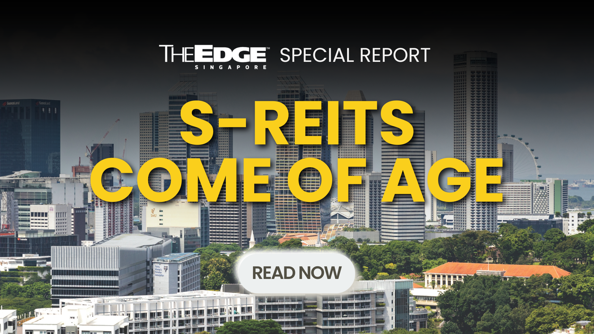 REITs Report