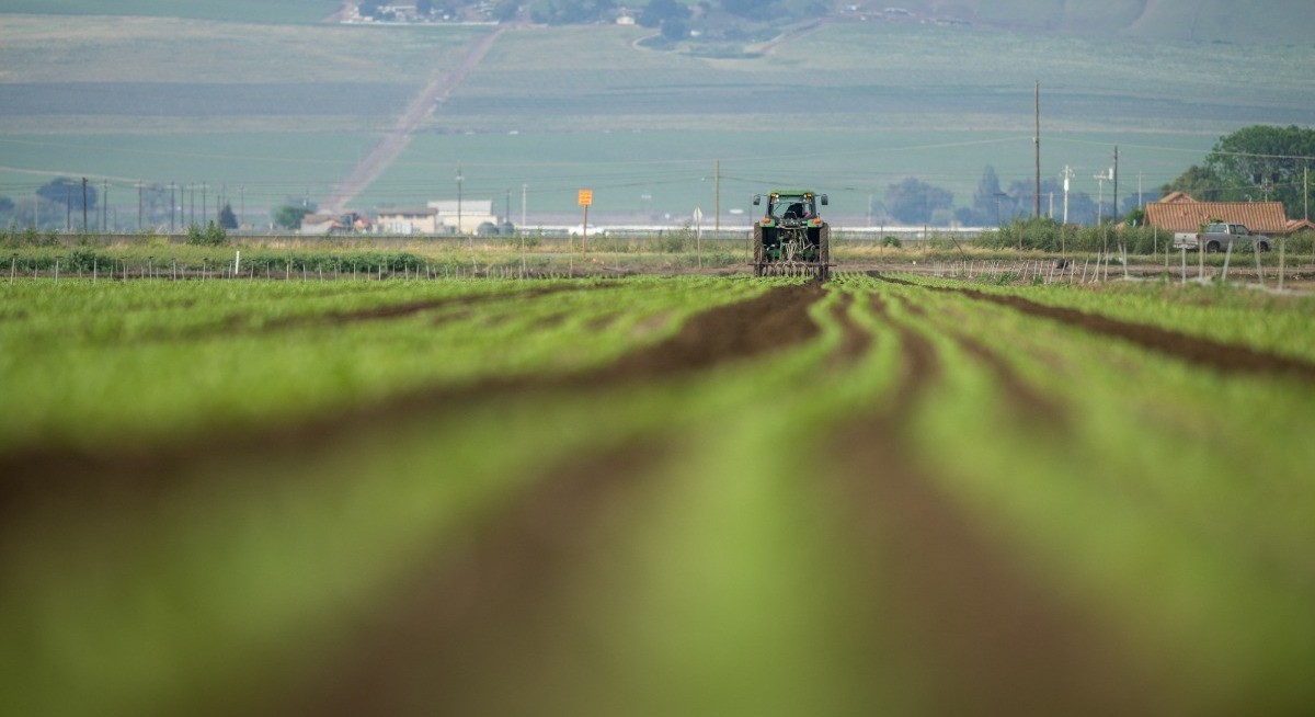 G7 ministers seek joint fertiliser action as war roils supplies