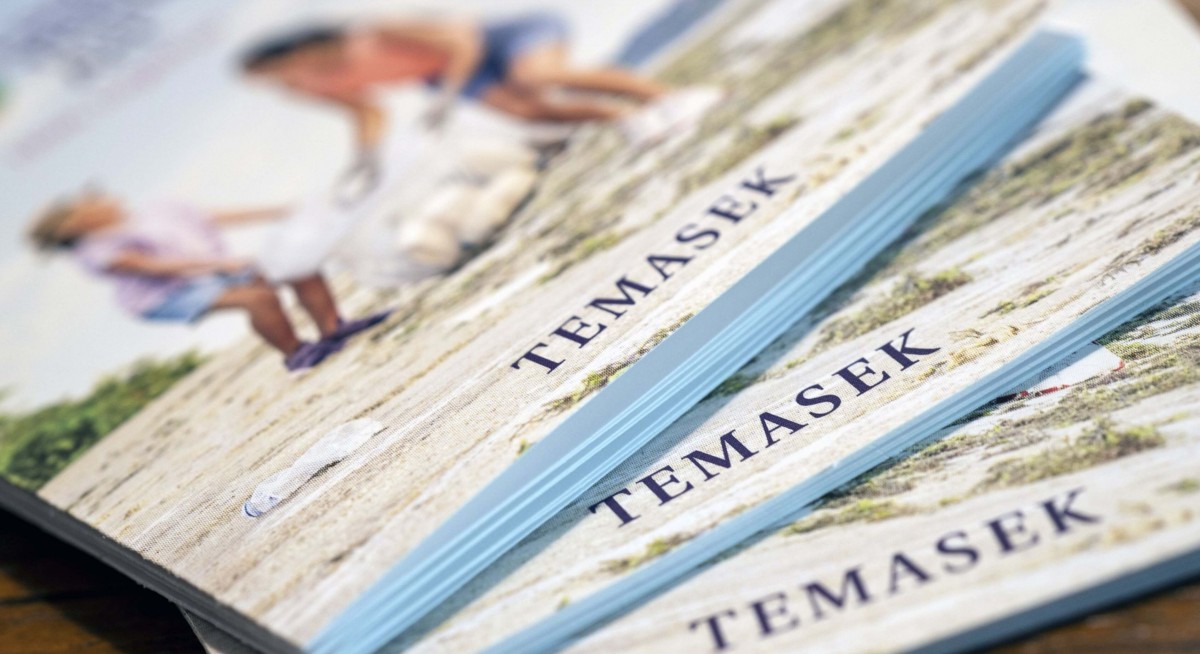 Temasek to divest Pavilion Energy to Shell subsidiary
