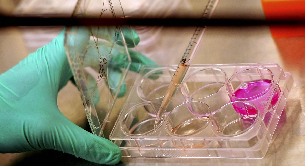 Cordlife unveils enhanced processing and storage facility after ...