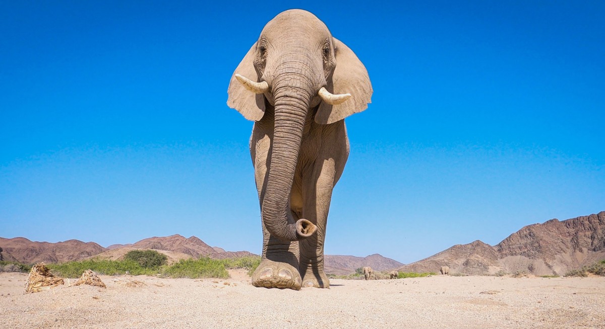 Weekout (Apr 17): National Geographic, Lasalle College, Tippling Club, Neon Pigeon, AT Feast